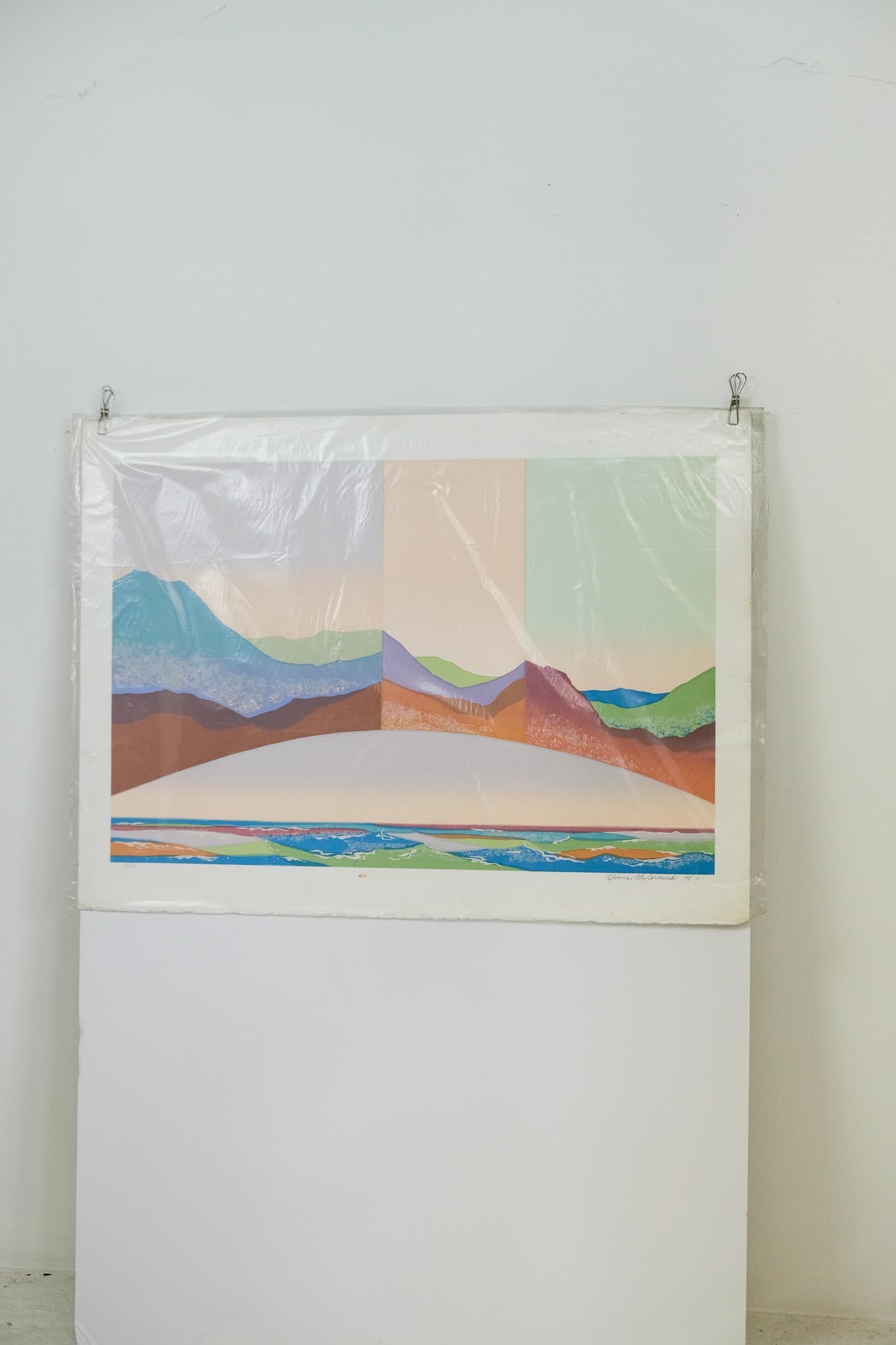 Alvena McCormick 1978 Lithograph Print – renewfinds