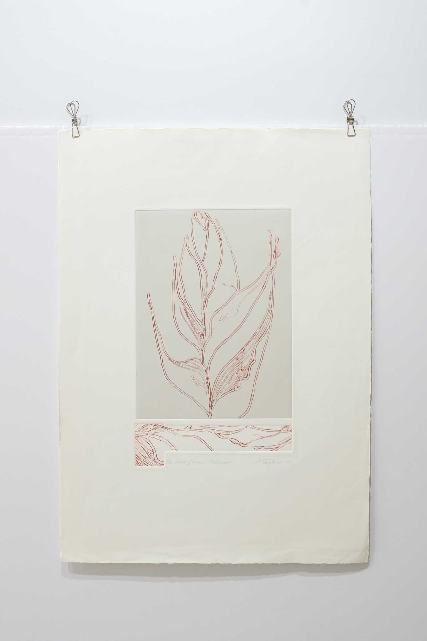 Prints – renewfinds