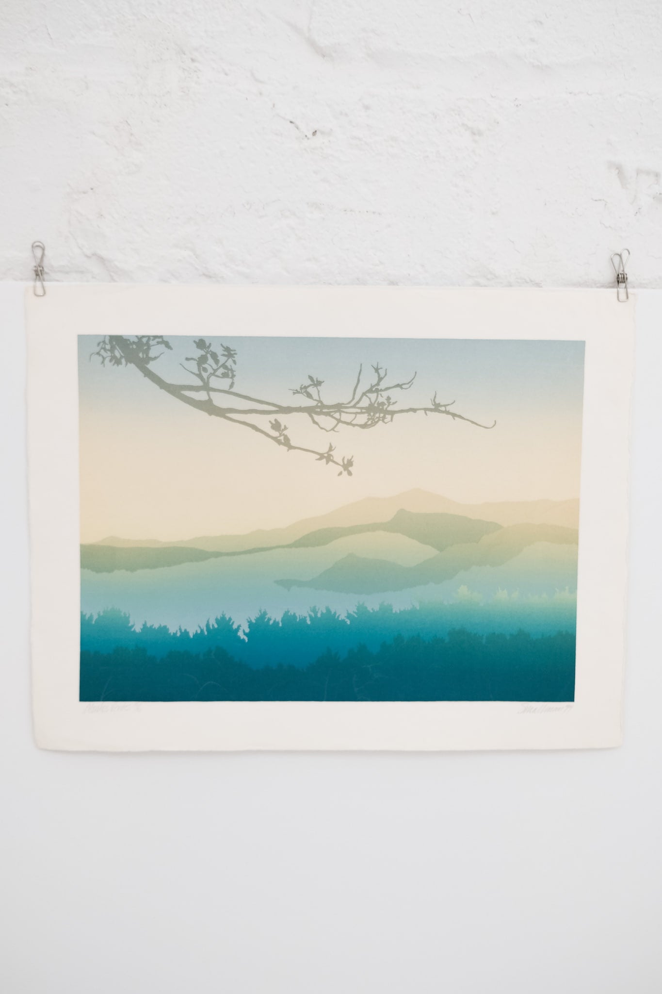 Montes Verdes by Roy Smallman Lithograph Print – renewfinds