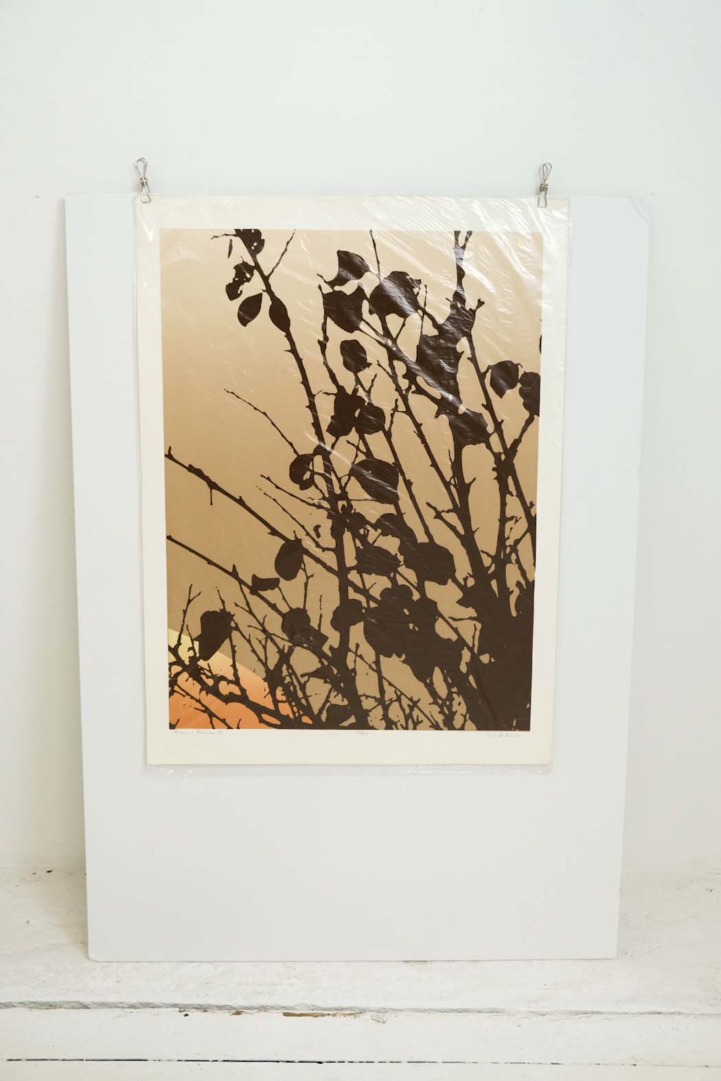 Jim Boutwell "Autumn Branches III" Artist Proof – renewfinds